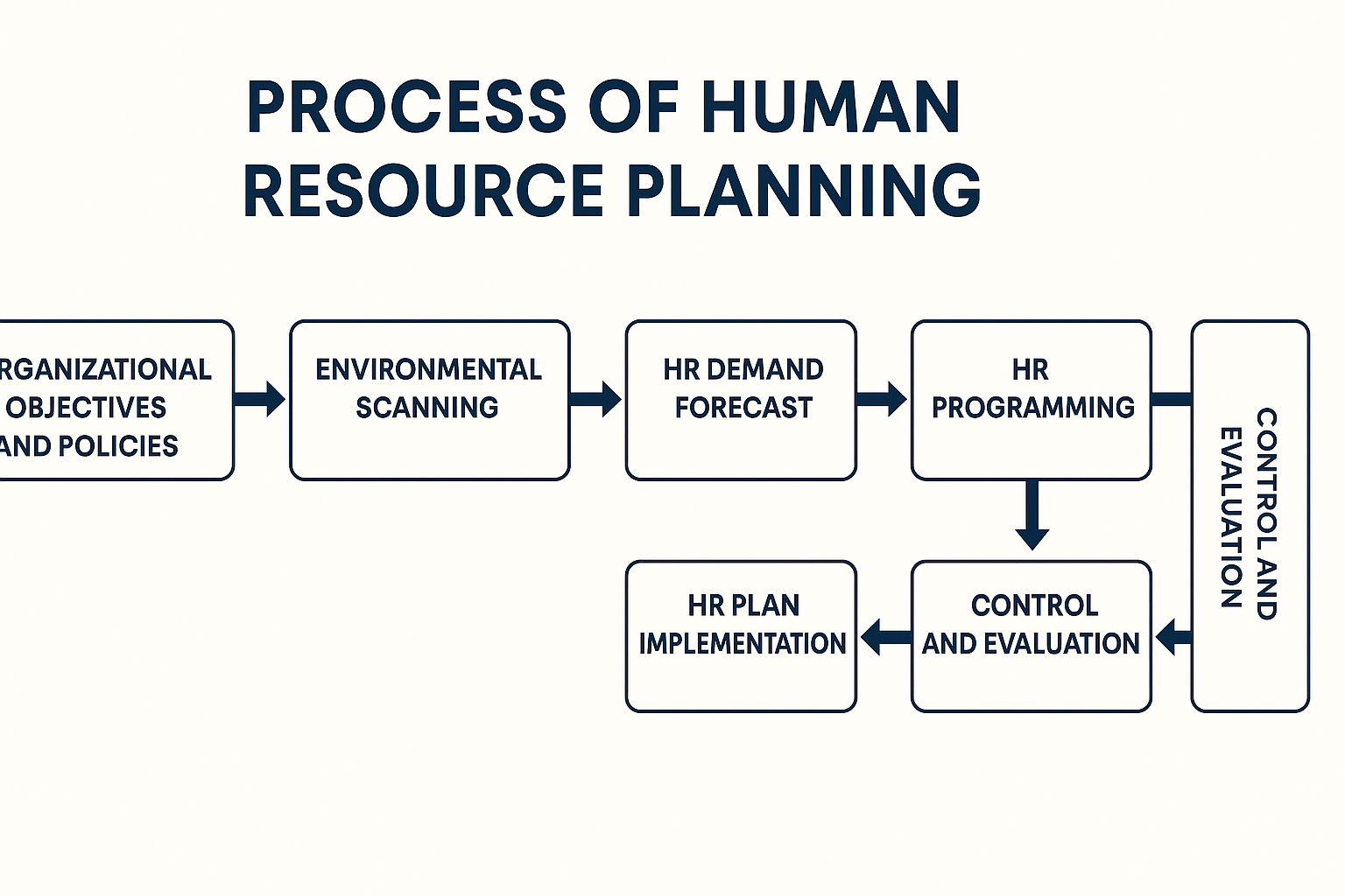 The Complete Process of Human Resource Planning: Step-by-Step Guide ...
